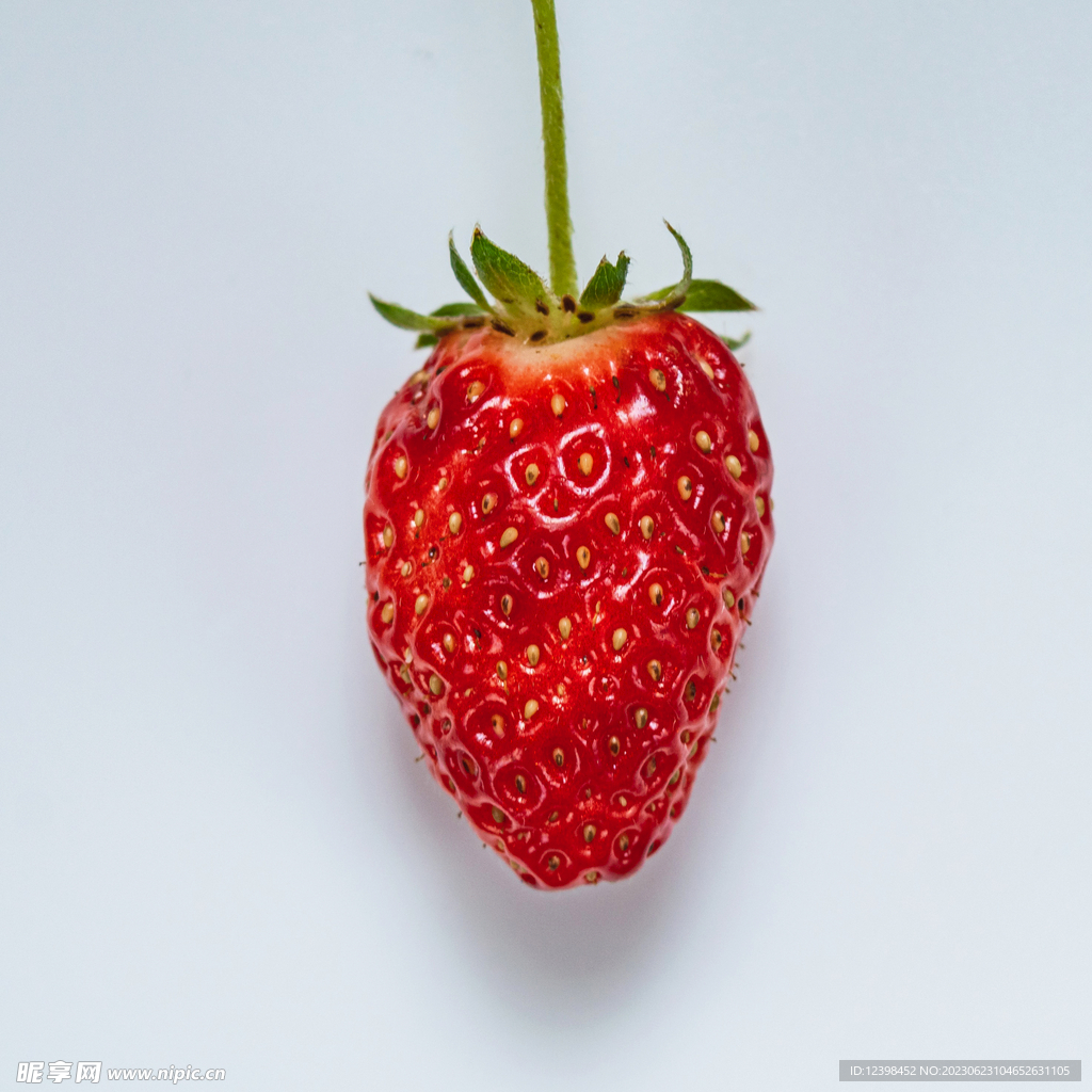 草莓摄影图__水果_生物世界_摄影图库_昵图网